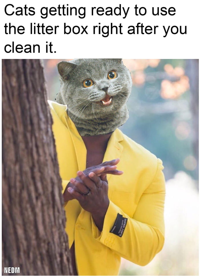 Guess I’ll clean it again - 9GAG