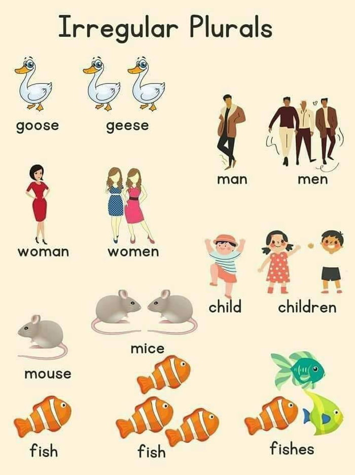 Tooth-teeth...foot-feet...root-reet...boot-beet - 9GAG