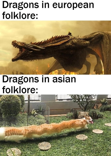 Best Funny dragons Memes - 9GAG