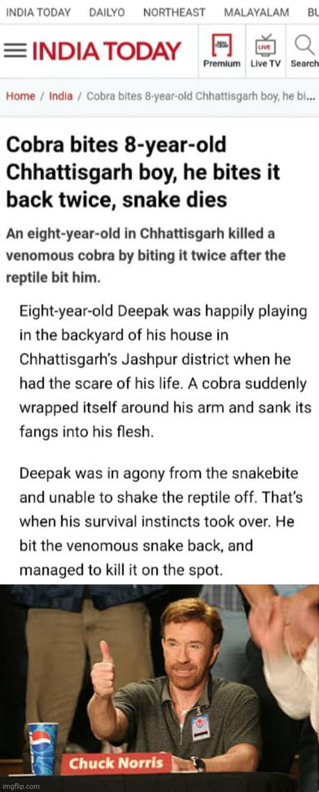 Chuck Norris Approves