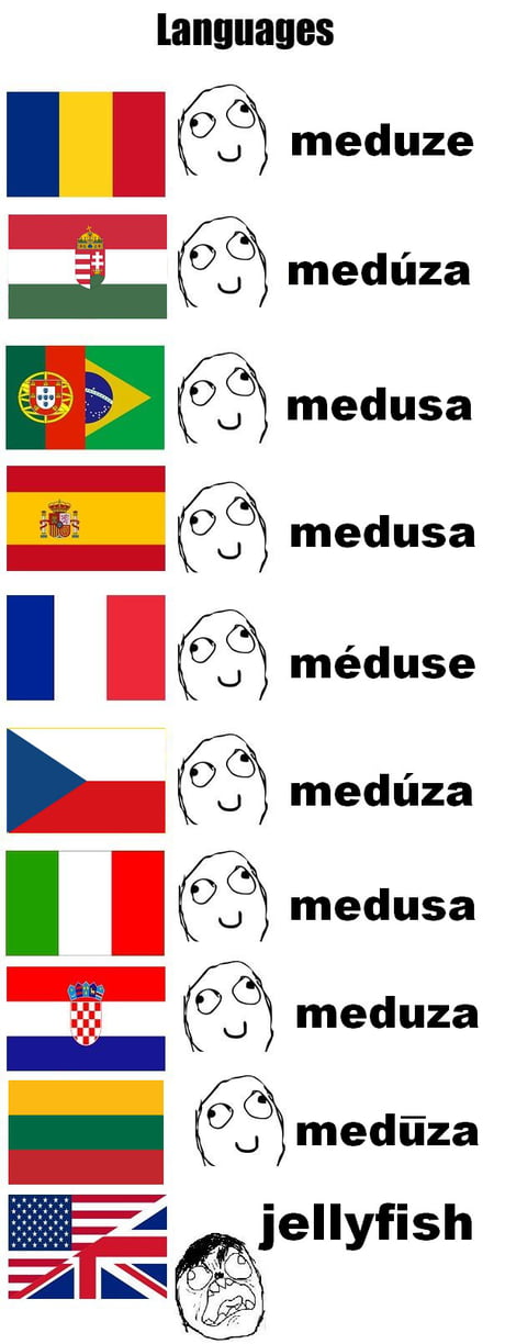 Best Funny medusa Memes - 9GAG