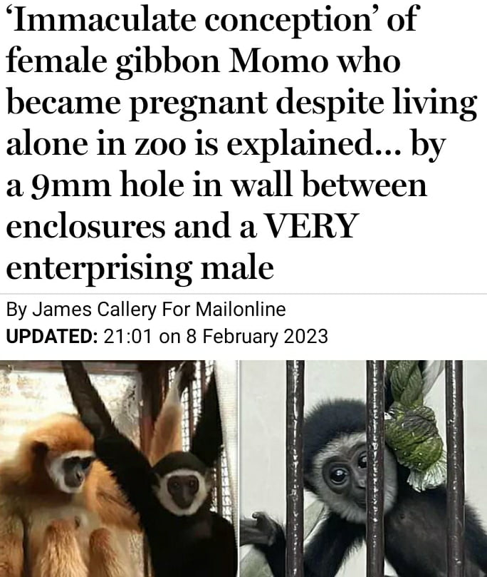 Monkey glory hole. - 9GAG