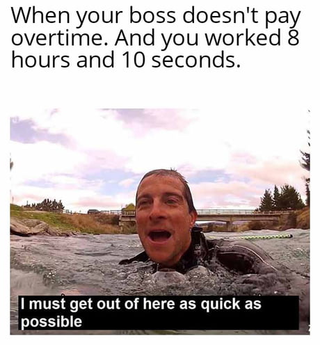 Life of the Claw - 9GAG