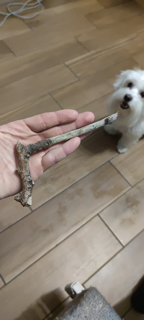 Best Funny rate my stick Memes - 9GAG