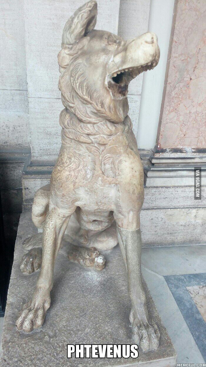 I was in the Vatican Museum, I saw Phteven's dog's ancient roman ...
