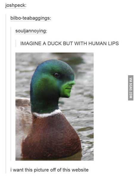 Bird Lips Meme | Lipstutorial.org