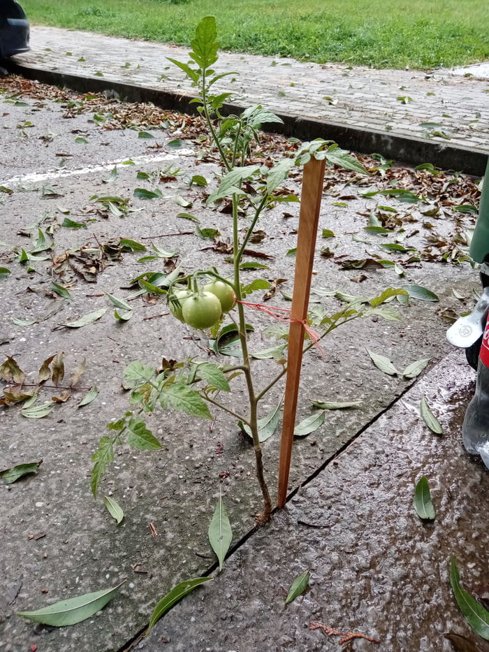 Concrete! F*ck yeah! - 9GAG