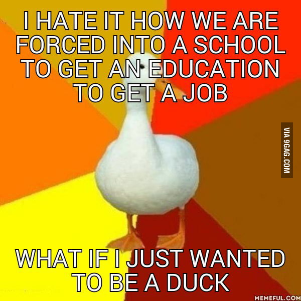 I want to be a duck - 9GAG