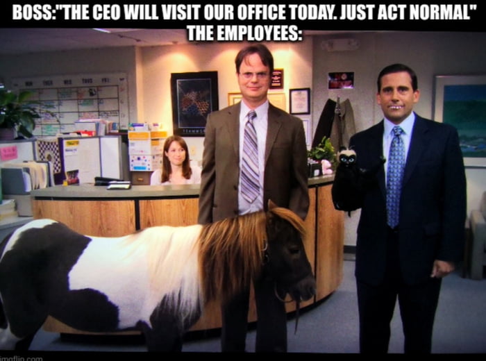 Define normal - 9GAG