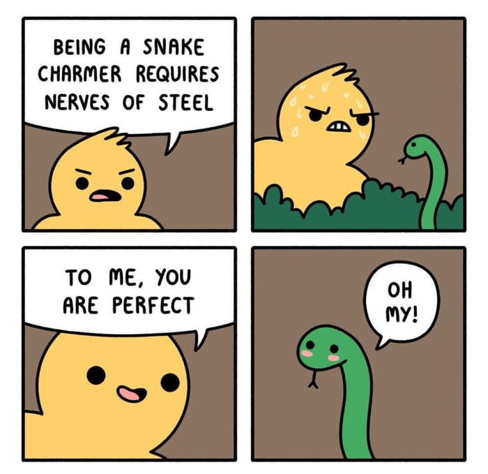 Cute danger noodle - 9GAG