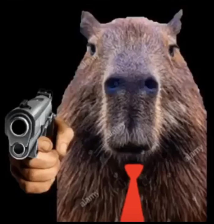 Capybara, fancy beast with a gun - 9GAG