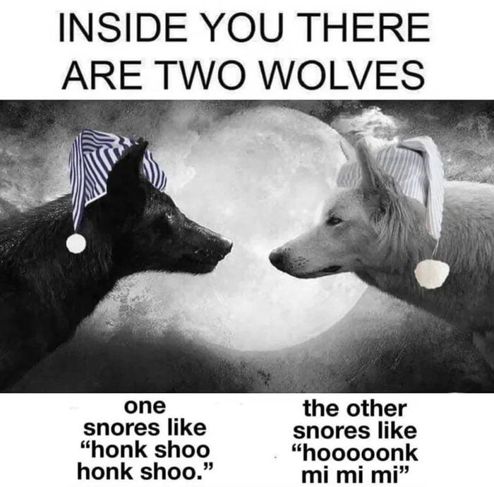 Two wolves - 9GAG
