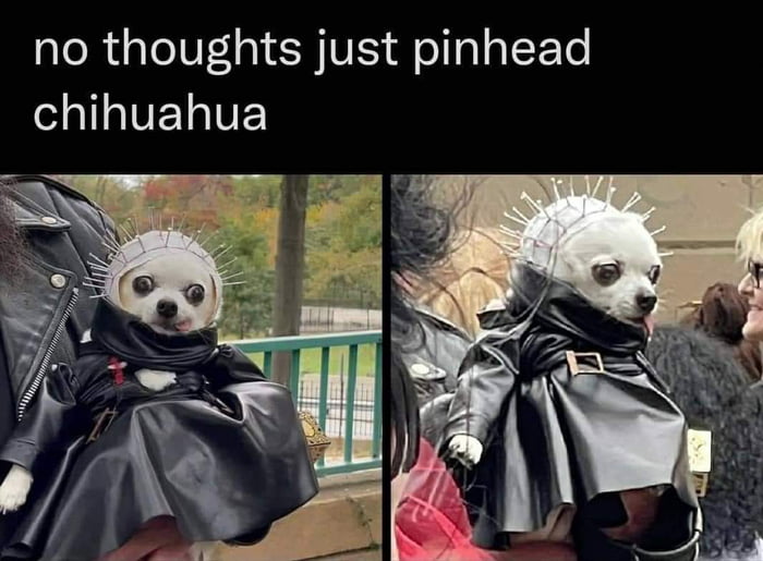 Pinhead - 9GAG