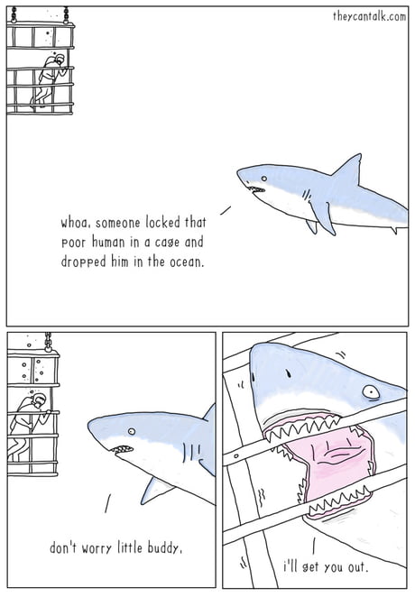 Misunderstood Shark Cage