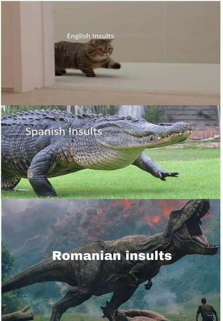 Funny Insult Memes