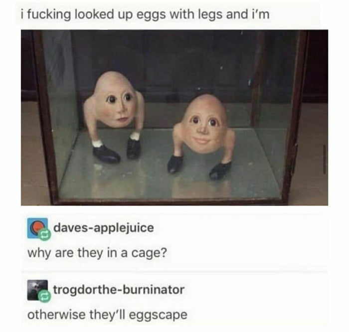 Eggscuse me - 9GAG