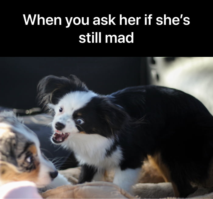 When you ask her if she’s still mad - 9GAG