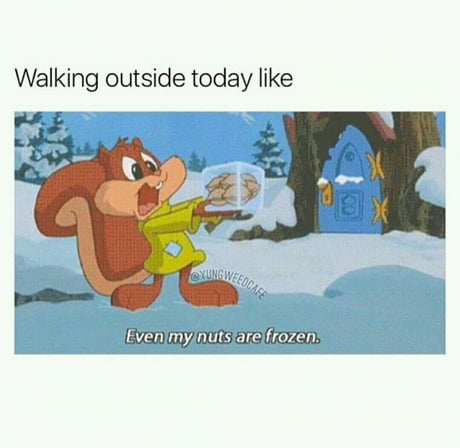 Frozen Nuts Memes