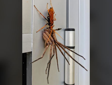 30+ Epic Footages And Pictures Show You How Lit The Nature Is