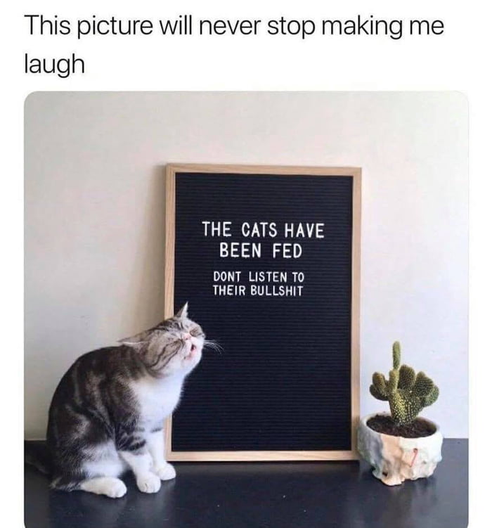 Lolled when I saw his face - 9GAG