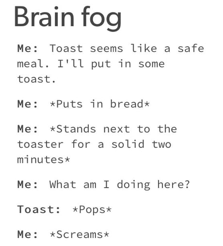 Best Funny toast Memes - 9GAG