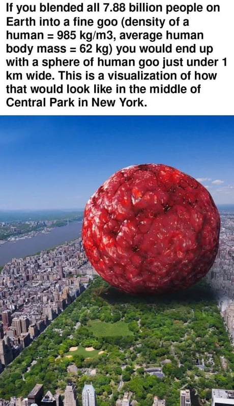 Best Funny meatball Memes - 9GAG