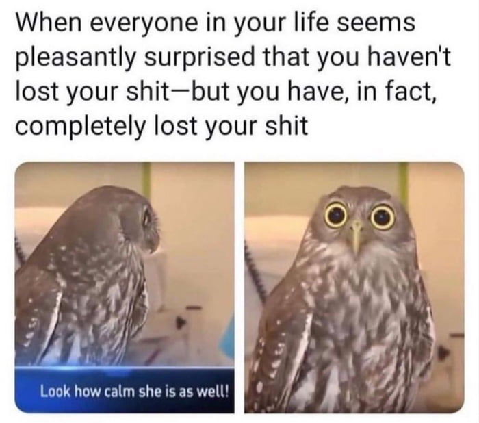 Hoot hoot - 9GAG