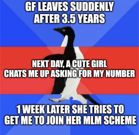 Best Funny mlm Memes - 9GAG