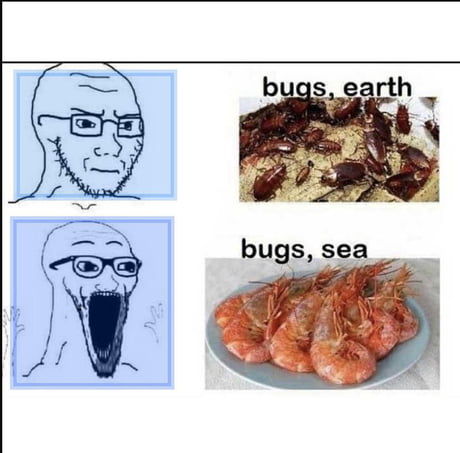 Best Funny bugs Memes - 9GAG