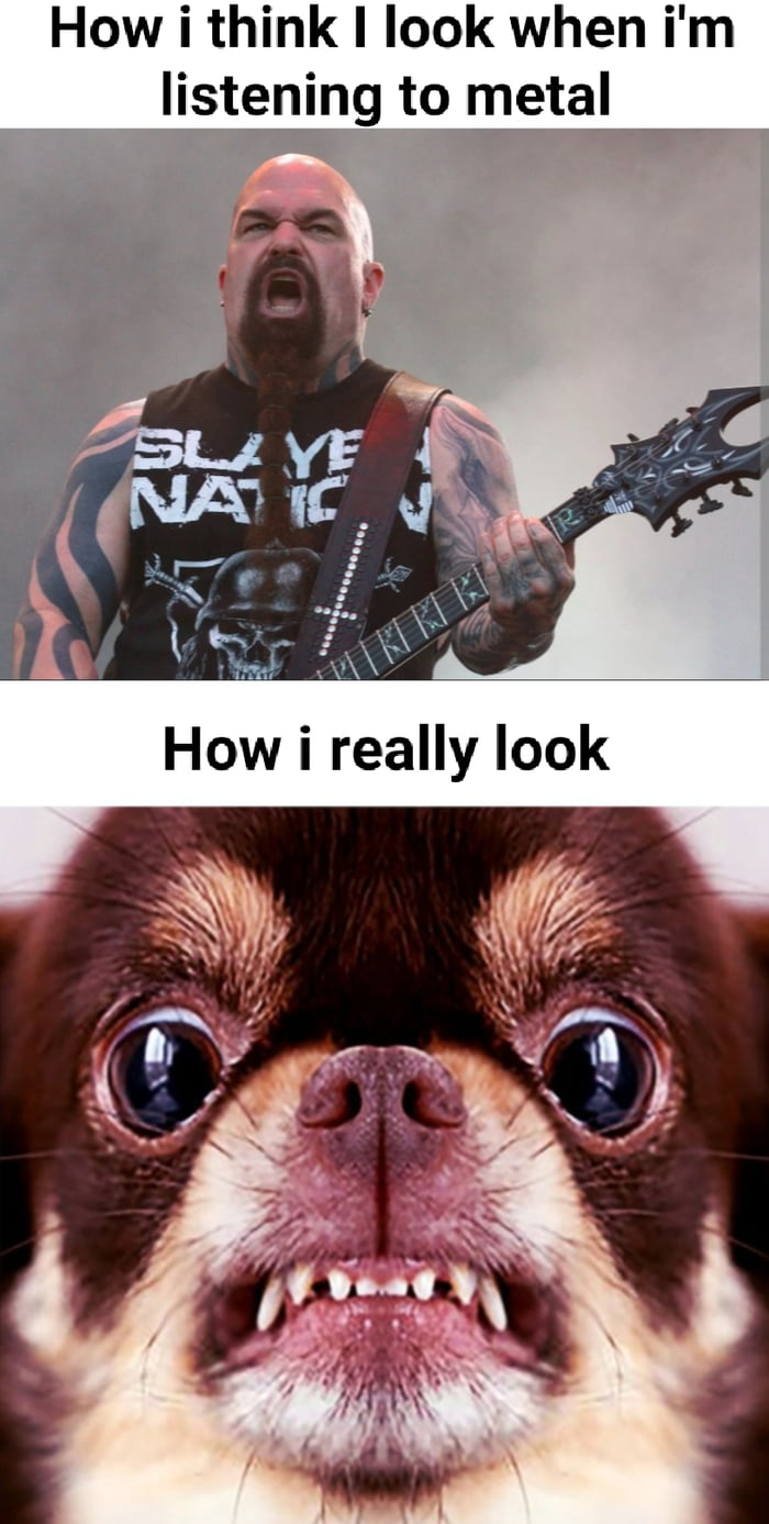 Real metalhead! - 9GAG
