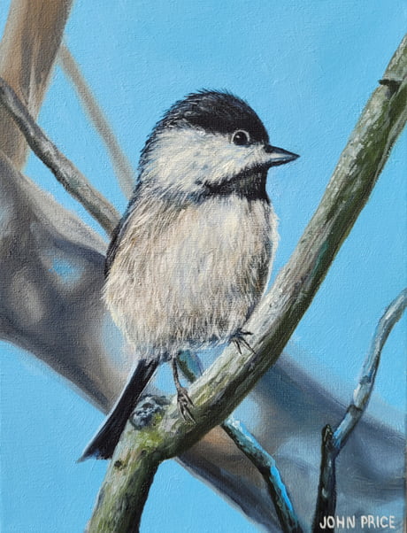 Best Funny john price Memes - 9GAG