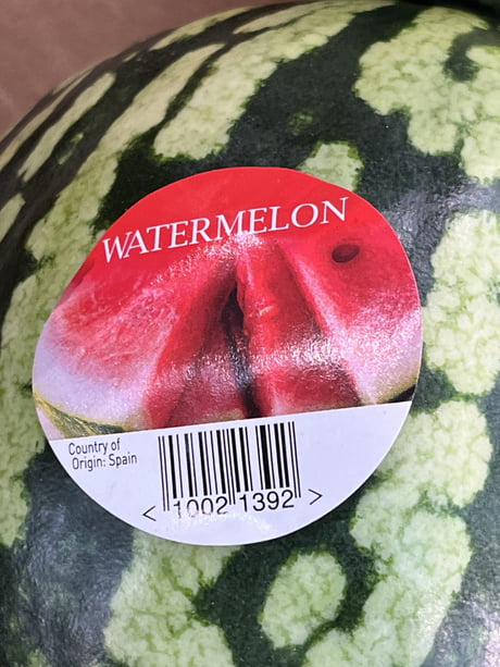 Best Funny watermelon Memes - 9GAG