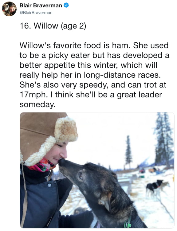 Musher Introduces Her 20 Sled Dogs With Colorful Personalities - 9GAG