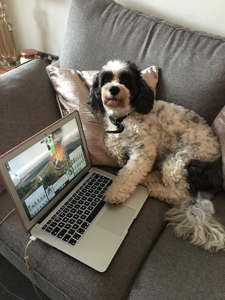 Best Funny Shameful Display Memes 9gag