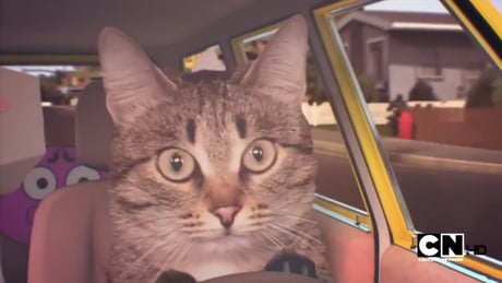 Best Funny nicole watterson Memes - 9GAG