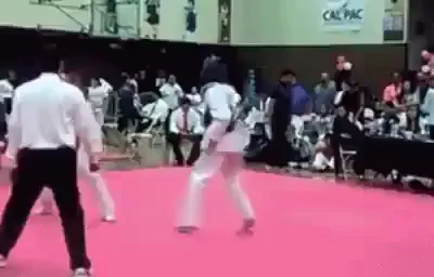 Roundhouse Kick To The Face Funny
