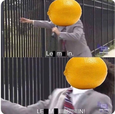 Memes De Limon