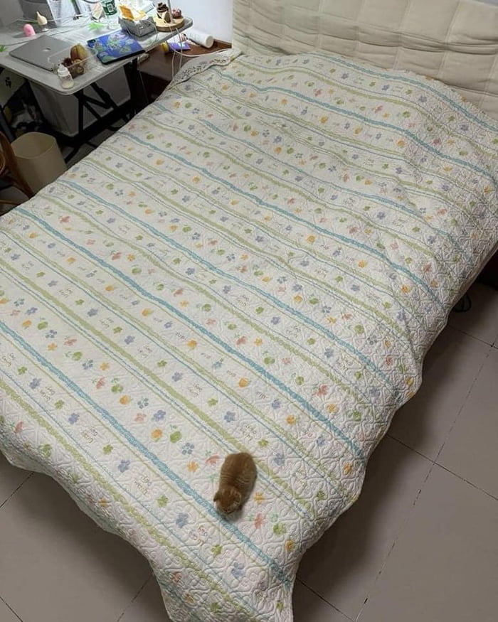 So.. basically I am very smol - 9GAG