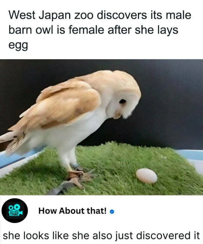 Well, this changes things. - 9GAG