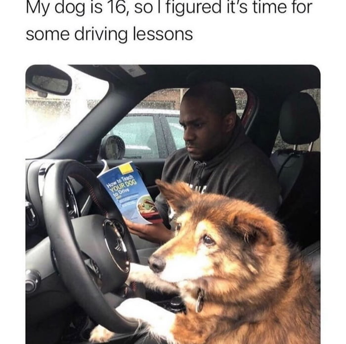 Looks like someone is finally getting their license. - 9GAG