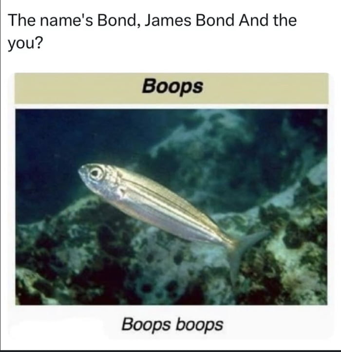 Boops...Boops Boops - 9GAG