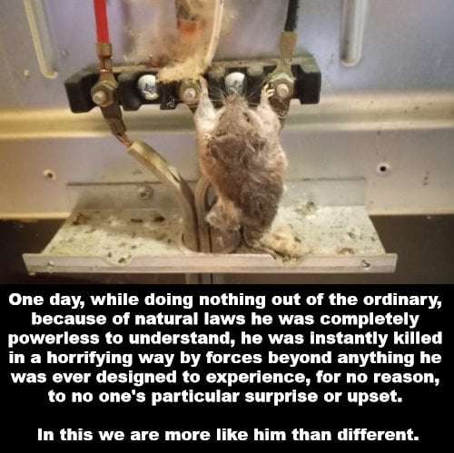 Cosmic level 'It is what it is' - 9GAG