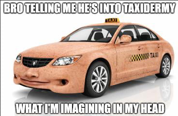 Taxi Fare Memes Fake Taxi Memes