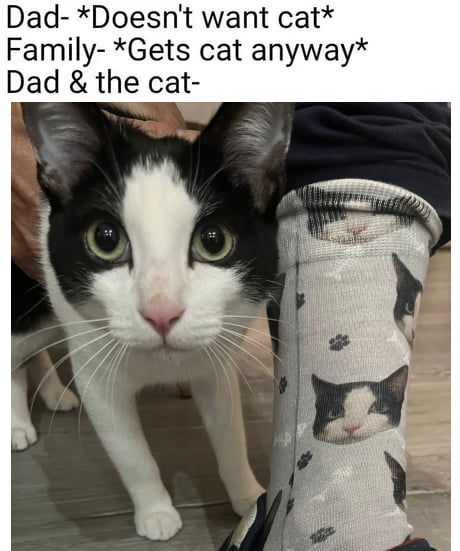 Best Funny socks Memes - 9GAG