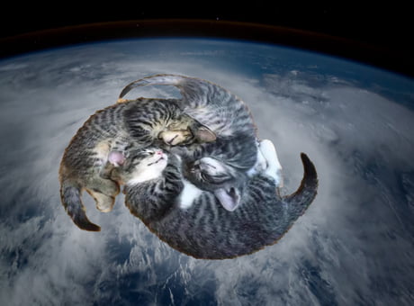 30+ Epic Footages And Pictures Show You How Lit The Nature Is