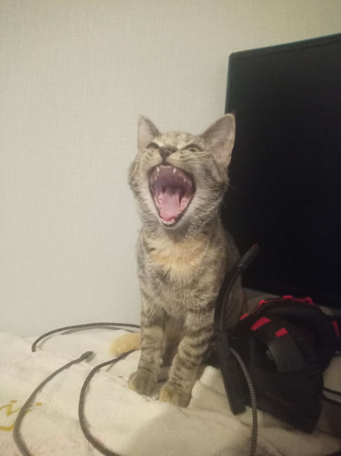 Enter title here - 9GAG