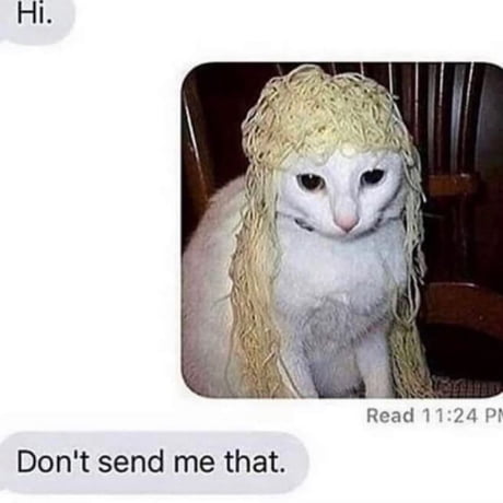 Best Funny wig Memes - 9GAG