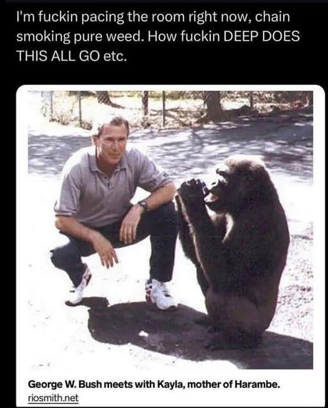 Best Funny deep state Memes - 9GAG