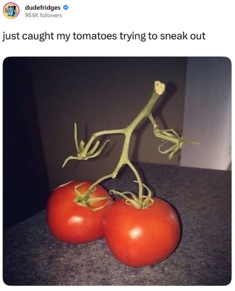 Best Funny sneaky Memes - 9GAG