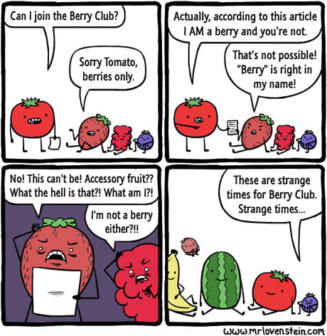 Funny Fruit Memes
